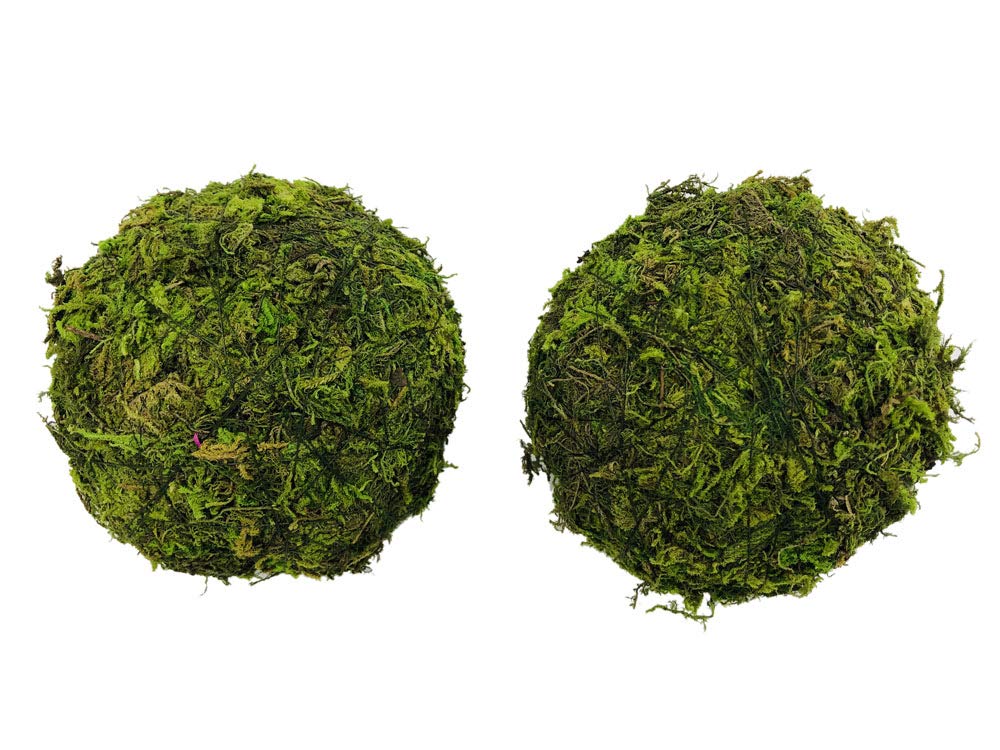 zorpia Natural Preserved Moss Hanging Ball Vase Bowl Filler for Garden, Wedding, Party Decoration (3.5"(6 Pack), Green)