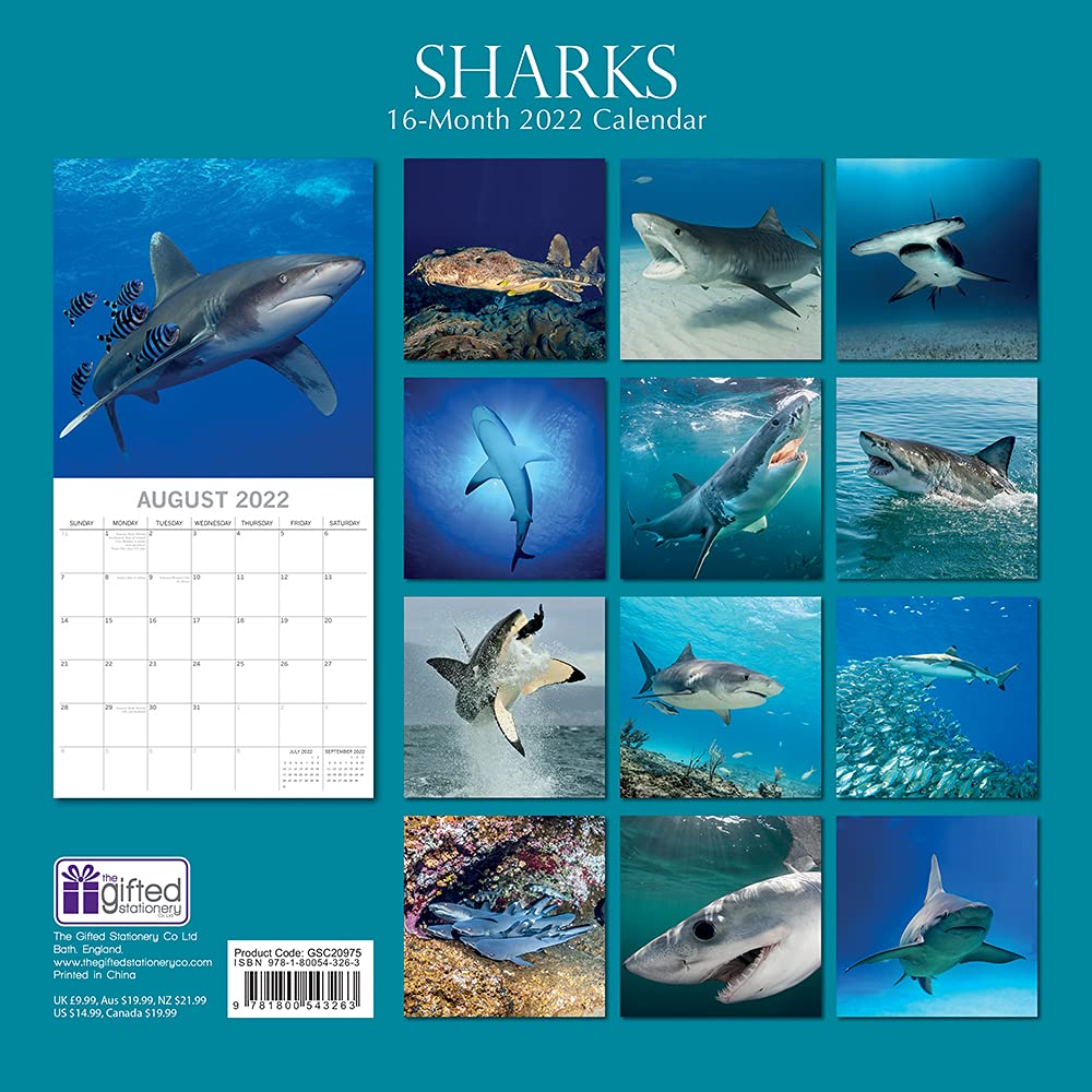 Sharks - Haie 2022-18-Monatskalender: Original BrownTrout-Kalender