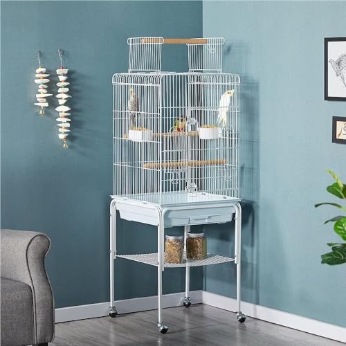TENAS Deluxe Spacious Bird Cage - Interactive Play Top - Wire Construction - Rust Resistant Paint Coating - Wooden Perch - Convenient Small Feeder Door - Removable Rolling Bracket Metal (White)