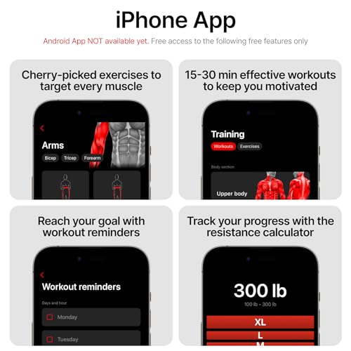 Weller Powerband Starter Kit Basic. Free Workout iPhone App, Loop Bands to Build Muscle, Home Gym, Fitness, Workout, Exercise, Heavy Duty, Powerlifting, Pull-up, Mobility, Stretching, Warm up