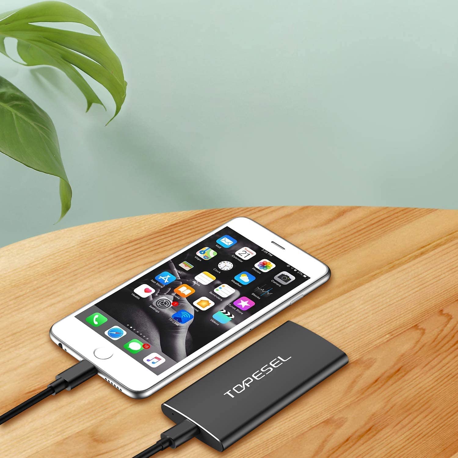 TOPESEL Portable SSD, 250GB High Speed Read up to 500MB/s, External Solid State Drive for PC, Desktop, Laptop, MacBook, Black