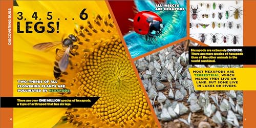 The Fascinating Bug Book for Kids: 500 Startling Facts! (Fascinating Facts)