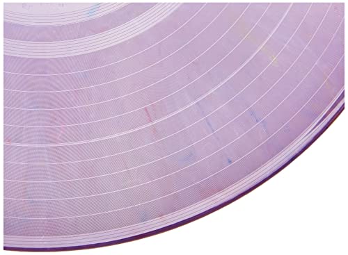 Serato Control Vinyl 12" Pair Purple