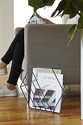 Umbra Zina Magazine Rack & Record Holder, Perfect for Vinyl Record Storage, Stands or Mounts to Wall, Titanium
