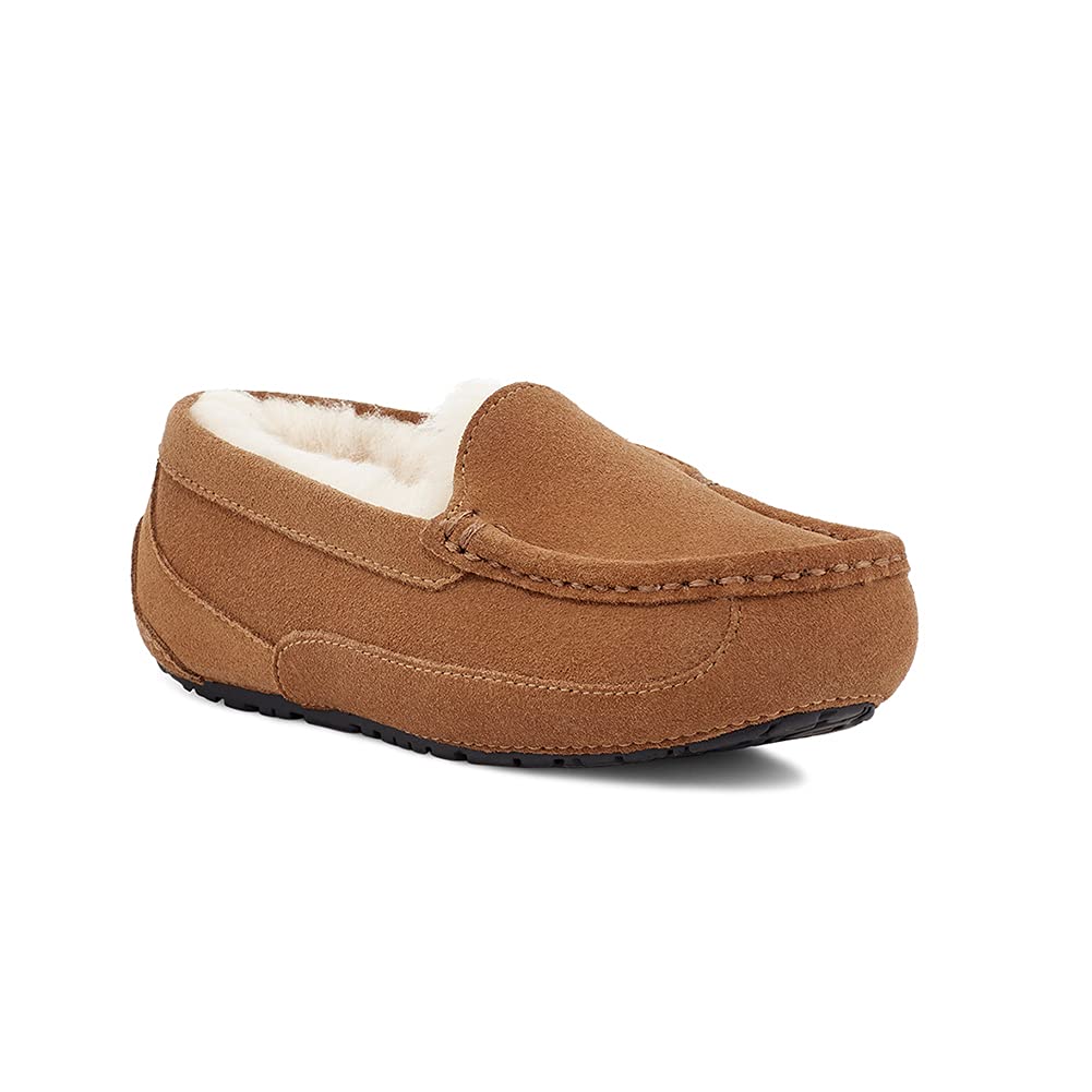 UGG Unisex-Child Ascot Slipper, Chestnut Suede, 5