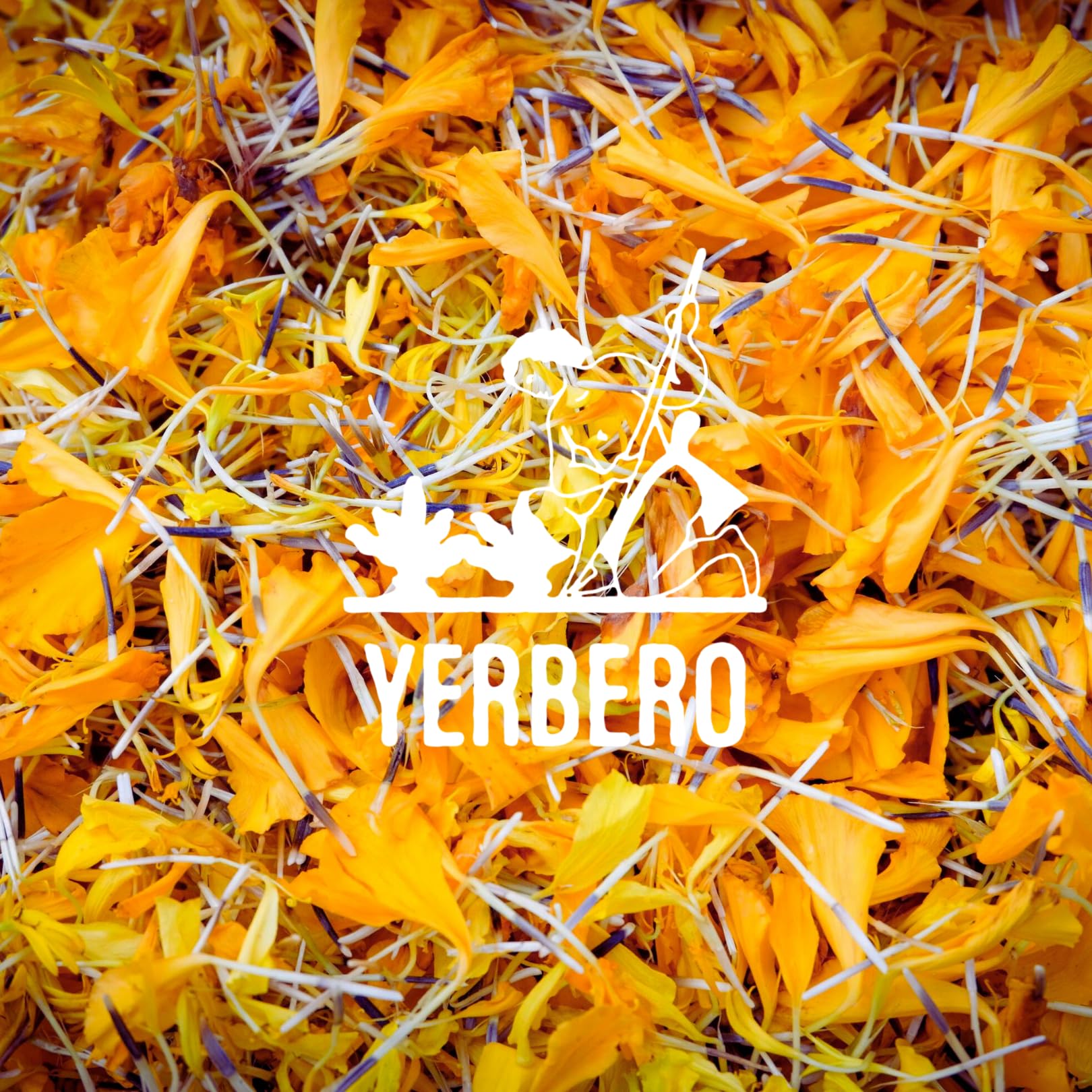 Yerbero - Calendula Flowers Loose Herbal Tea 2oz (56g) | Marigold Flowers | Flores De Calendula | For Brewing Calendula Tea, Culinary Creations, and Natural Edible Purposes | Crafted By Nature100% All Natural Fresh Tea | Non-GMO.