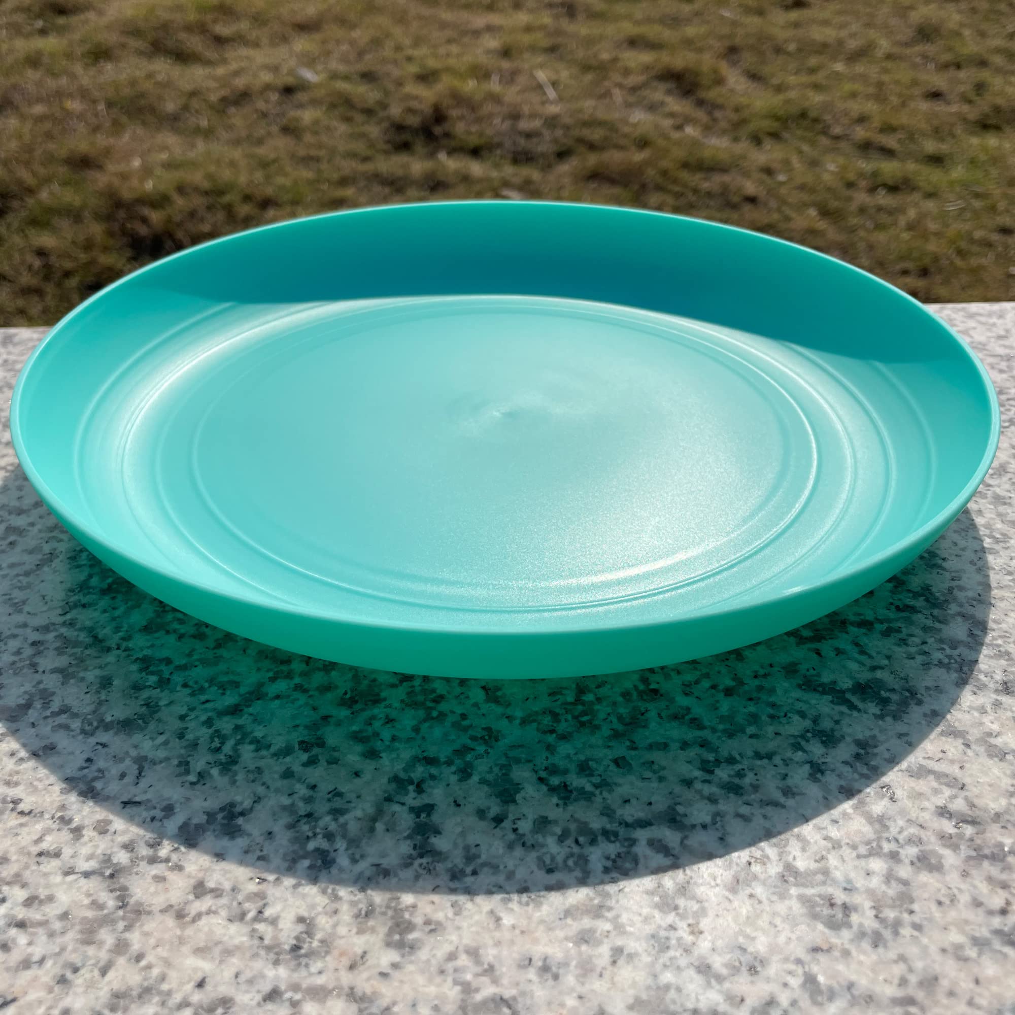 YUYUHUA Unbreakable Plastic Plates Reusable β Everyday Deep Dinner Plates 10 inch set of 6 β BPA Free Dishwasher Microwave Safe Hard Plates for Kitchen, Party, Camping, Outdoor