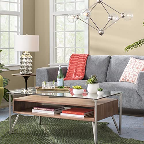 Vihaan Coffee Table with Storage, Wade Logan, Number of Tables Included: 1