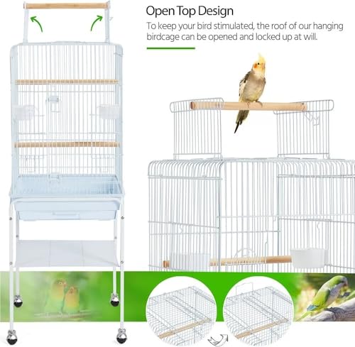TENAS Deluxe Spacious Bird Cage - Interactive Play Top - Wire Construction - Rust Resistant Paint Coating - Wooden Perch - Convenient Small Feeder Door - Removable Rolling Bracket Metal (White)
