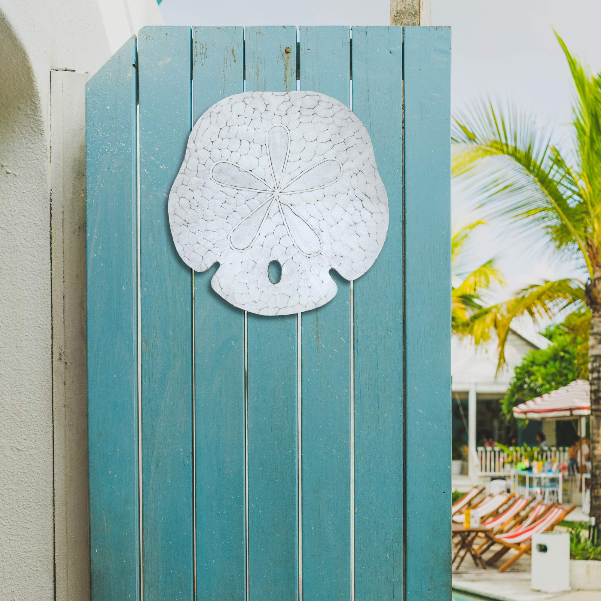 T.I. Design Hand-Carved Coastal White Sand Dollar Shell Beach Wall Decor