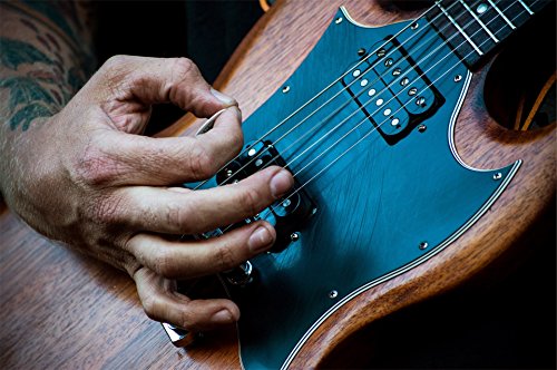 Snarling Dogs Brain TNSDB351, 0.73 Guitar Picks, 12-Piece, Collectible Tin, Red Nylon, 0, 0.73mm