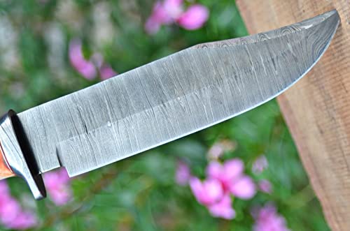 UK UNIQUE SHARP KNIVES BK-3004 Handmade Damascus Steel 12.00 Inches Damascus Steel Hunting Knife - Coloured Camel Bone Brass Spicer Handle With Damascus Gurd/pommel