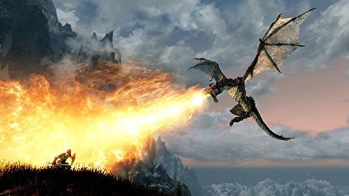 The Elder Scrolls: Skyrim [Nintendo Switch]
