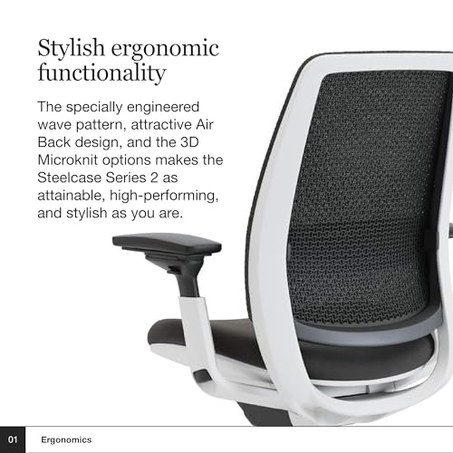 Steelcase Series 2 Office Chair - Ergonomic Work Chair with Wheels for Carpet - with Back Support, Weight-Activated Adjustment & Arm Support - Adjustable Rolling Chairs for Desk - Graphite