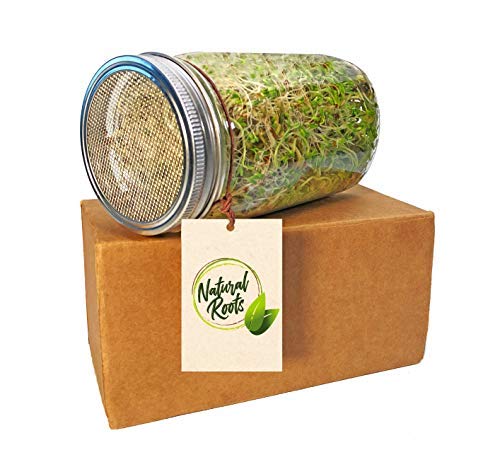 Variety Pack Sprouting Seeds Broccoli, Alfalfa, Radish, Mung beans & Salad Mix for Sprouts and Microgreens. Non-GMO. Pack of 10 premeasured seeds for quart size jars or trays. Includes 2 packs of each