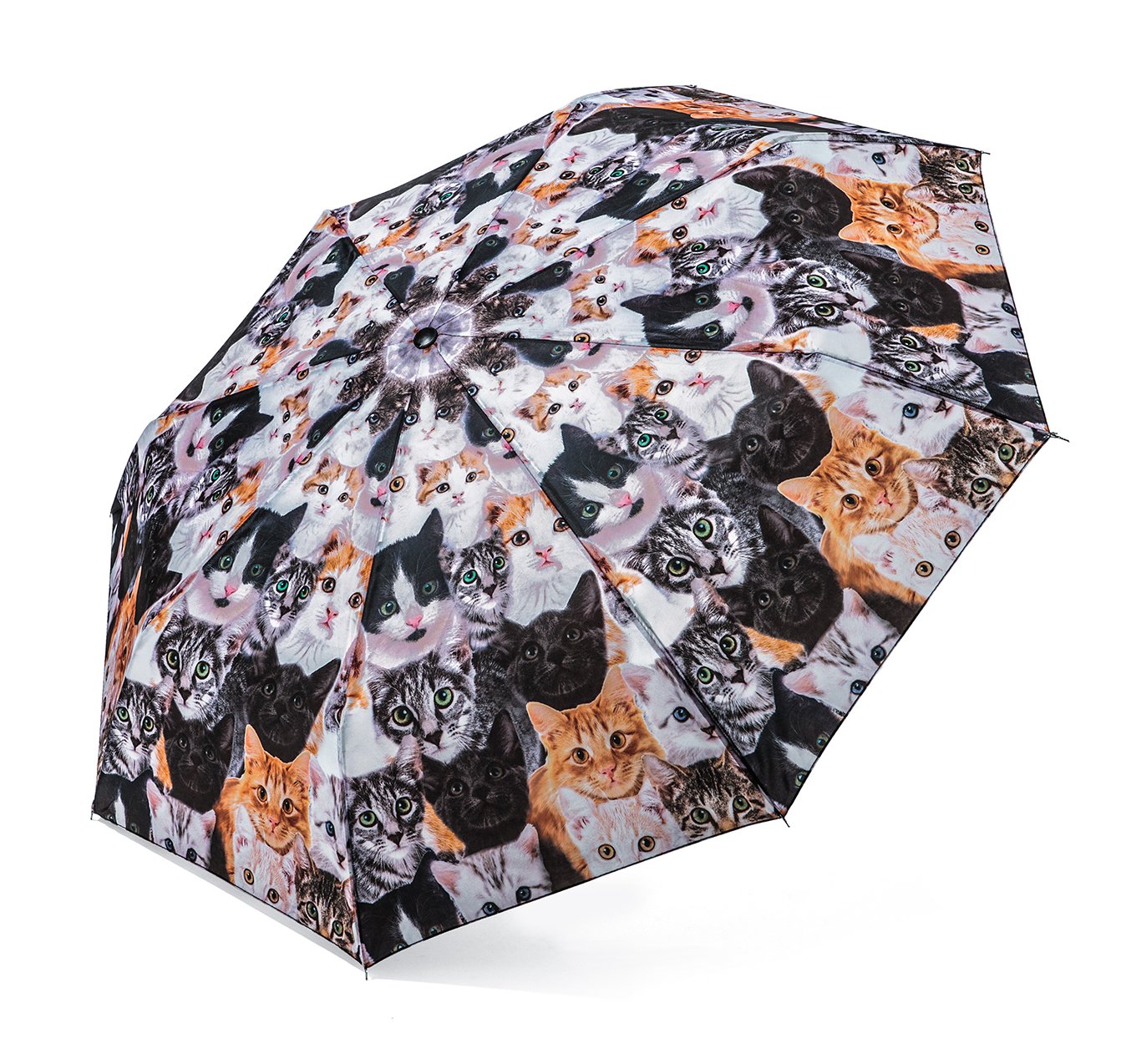 The Paragon Cat Umbrella - Compact & Portable Accessory with Photo-Realistic Kitty Images