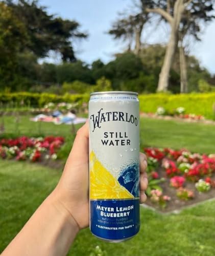 Waterloo Still Water, Meyer Lemon Blueberry | Naturally Flavored Purified Water | 12 Fl Oz Cans (Pack of 12) | Zero Calories | Zero Sugar or Artificial Sweeteners | Zero Sodium