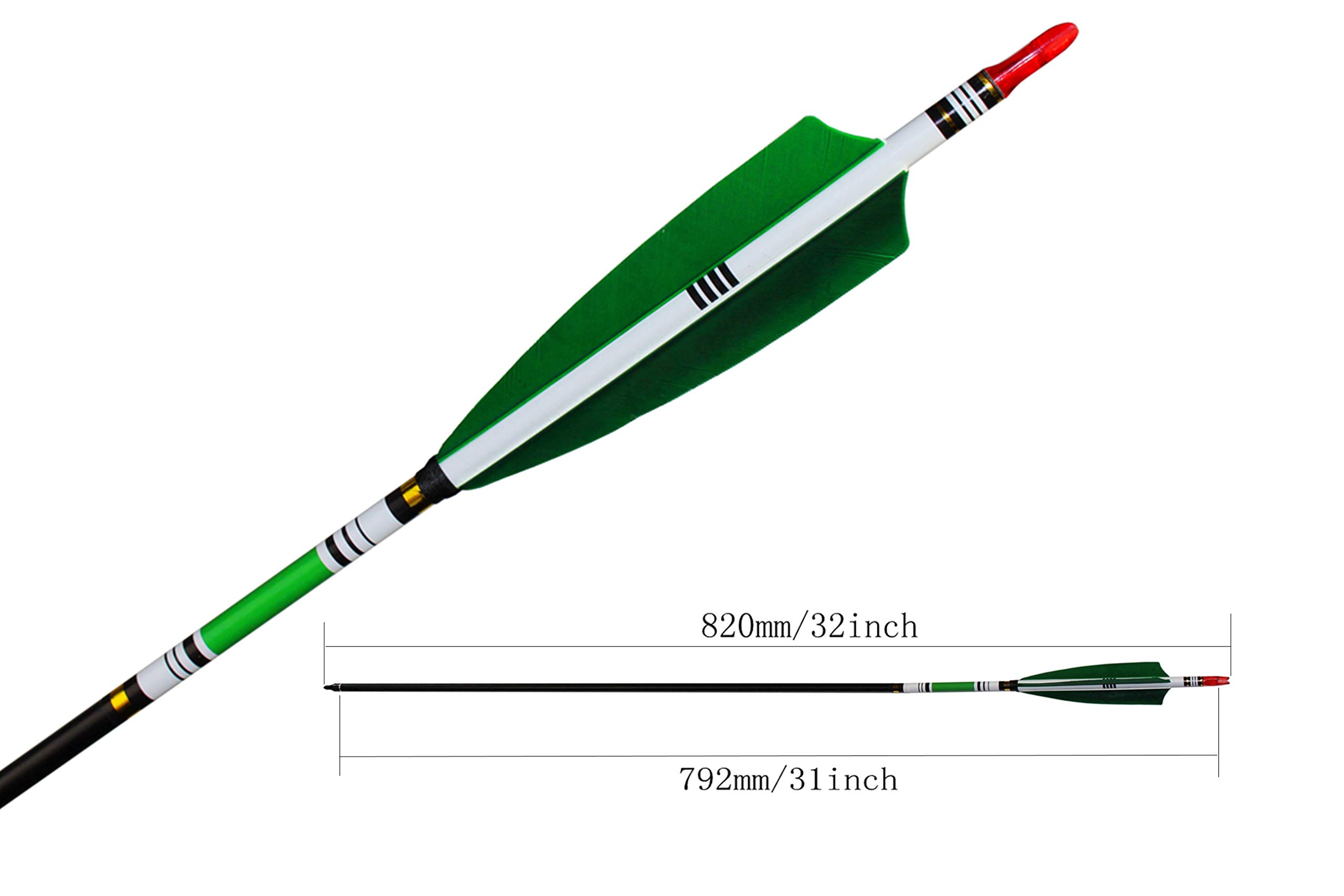 TTFLY FLETCHING 31 inch Carbon Arrows Green Turkey Feather Targeting Arrows Archery with Screw-in Field Tips Hunting&Practice(12 Pack)