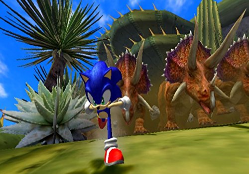 Sonic and the Secret Rings - Nintendo Wii