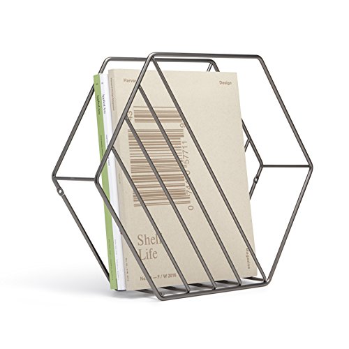 Umbra Zina Magazine Rack & Record Holder, Perfect for Vinyl Record Storage, Stands or Mounts to Wall, Titanium
