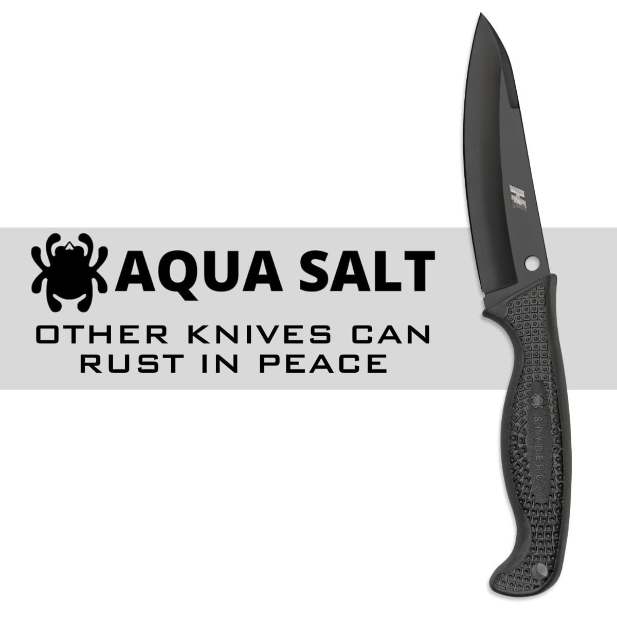 Spyderco Aqua Salt Fixed Blade Knife - Black FRN Handle with PlainEdge, Hollow Grind, H-1 Steel Blade - Includes Polymer Sheath - FB23PBBK