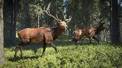 The Hunter Call Of The Wild Game Of The Year Edition (PC)