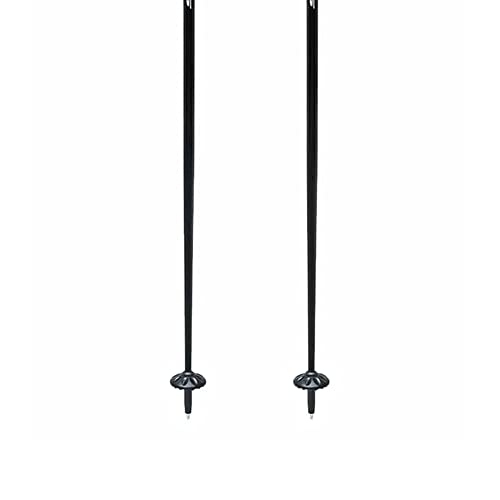 Swix Winter Sports Recreation Competition Downhill Alpine Skiing Groomed Trail Techlite Ms Aluminum Poles