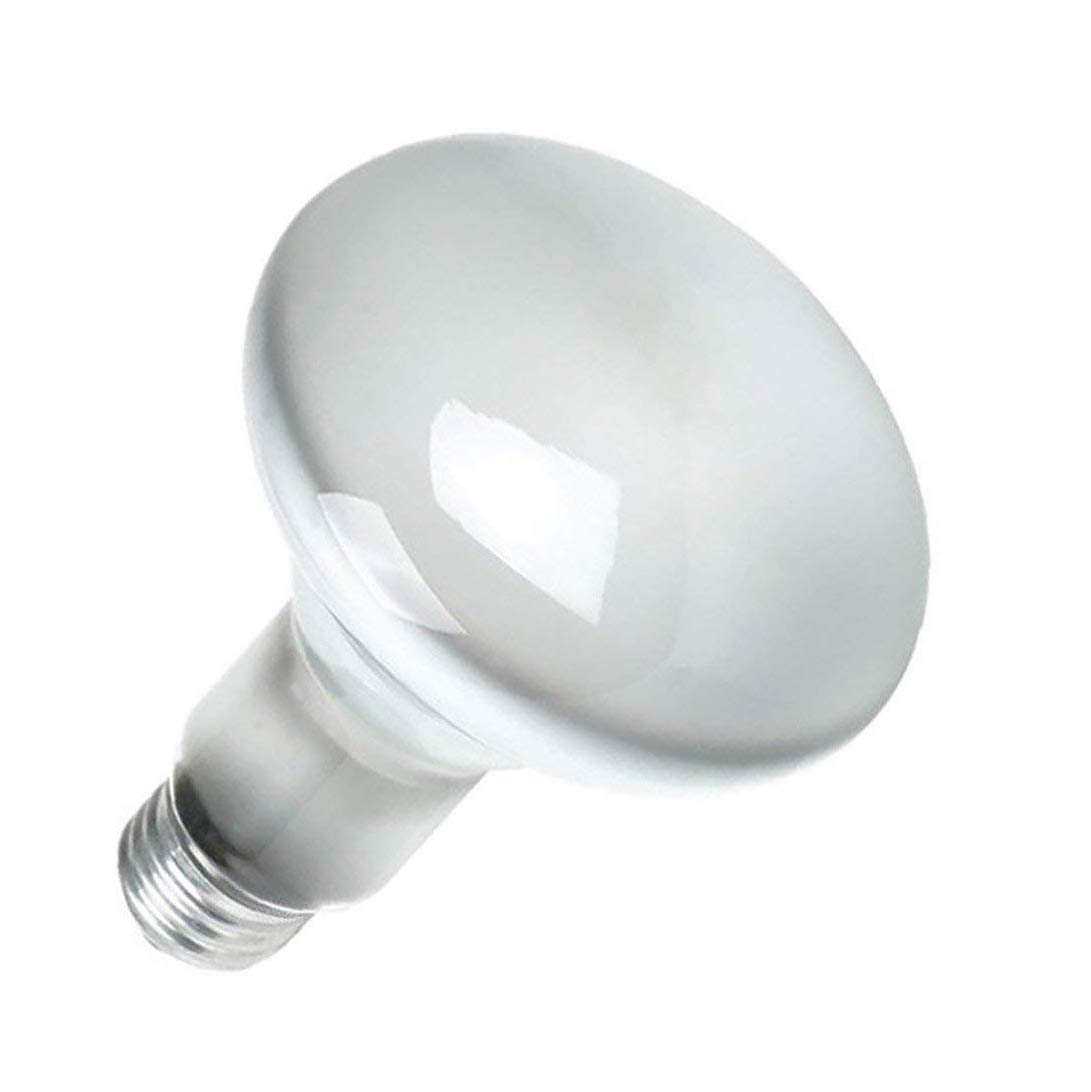 Sylvania 15172 65-Watt 130-Volt BR30 Indoor Flood Light (12 Pack)