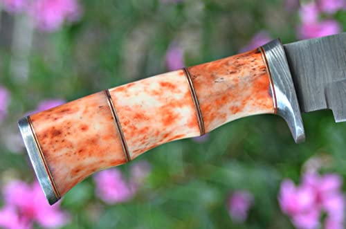 UK UNIQUE SHARP KNIVES BK-3004 Handmade Damascus Steel 12.00 Inches Damascus Steel Hunting Knife - Coloured Camel Bone Brass Spicer Handle With Damascus Gurd/pommel