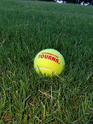 Tourna Pressureless Tennis Balls with Vinyl Tote (45 pack of balls)