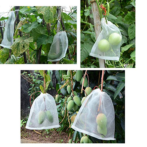 YTYL Fruit Protection Bags,Garden Plant Flower Fruit Vegetable Protect Bags Garden Mesh net Bag (4" x 6",150pcs)