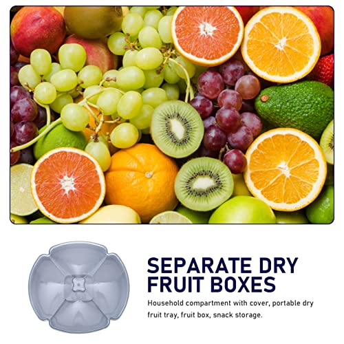 UPKOCH Chips Serving Trays Dry Food Snack Tray Blue: Portable Food Serving Tray with Lid Multi Grid Dry Fruit Tray Snacks Plate for Veggies Candy Plastic