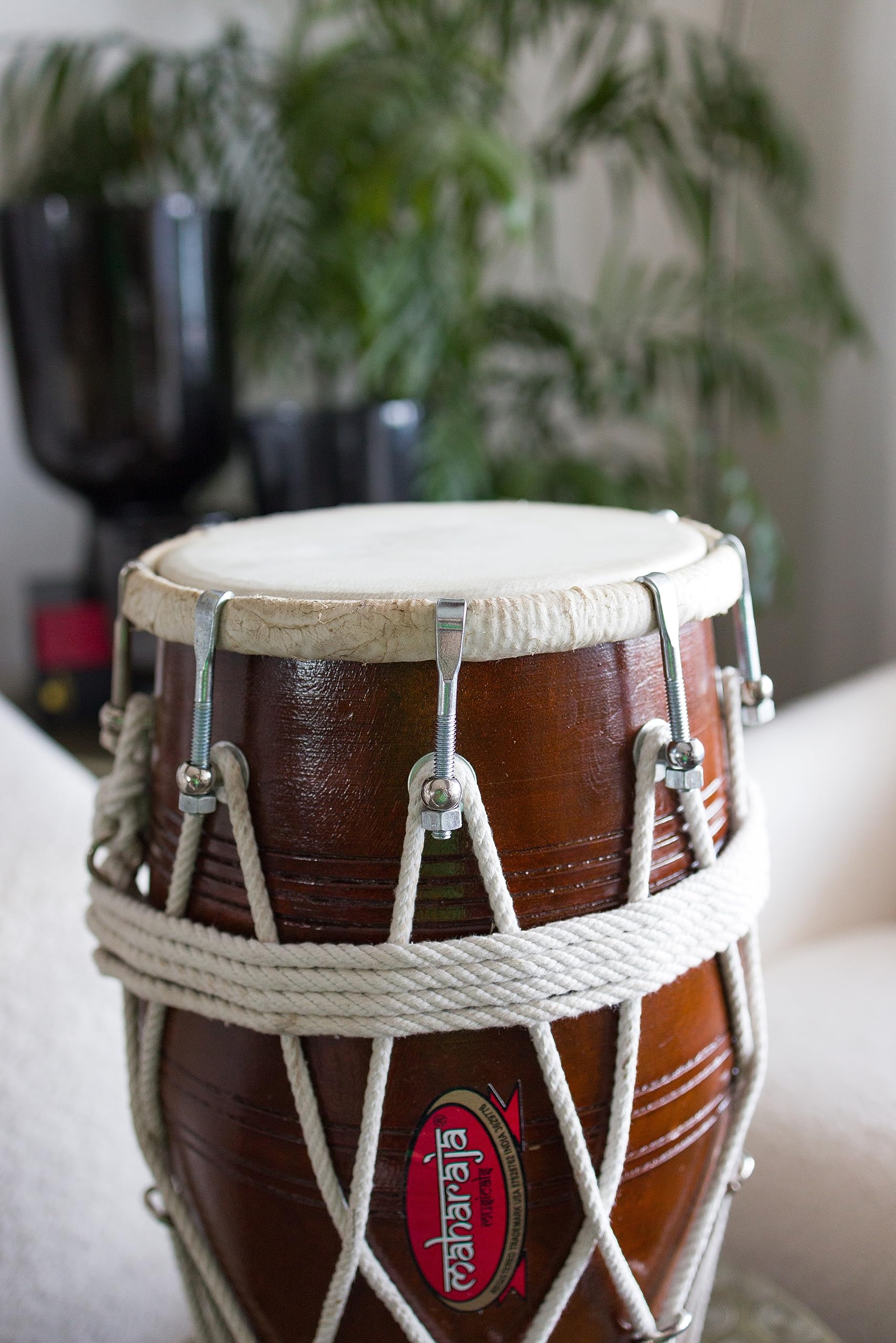 Special Dholak Drum by Maharaja Musicals, Professional Quality, Sheesham Wood, Padded Bag, Spanner, Dholki Musicals Instrument (PDI-BBC)