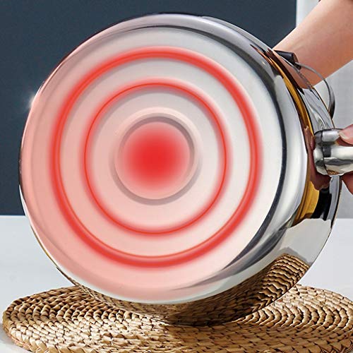 ZNZN Stainless Steel Kettle Stove Top Whistling Teapot Silver Classic Teapot Appearance Cooking Grade Ring Shaped Kettle Bottom Multifunctional Water Kettle (Color : 8L)