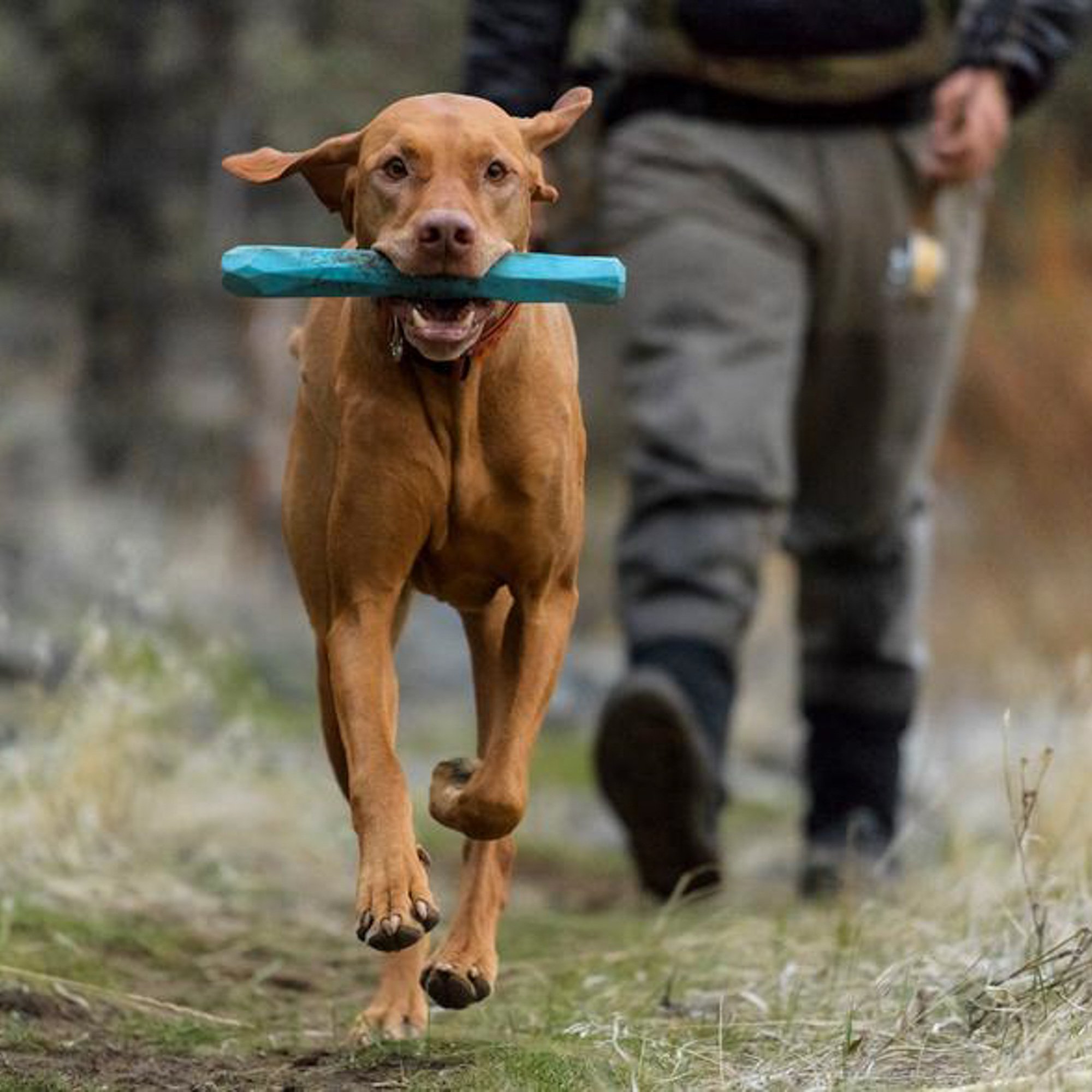 RUFFWEAR Gnawt a Stick Durable Dog Toy, Dandelion Yellow, One Size