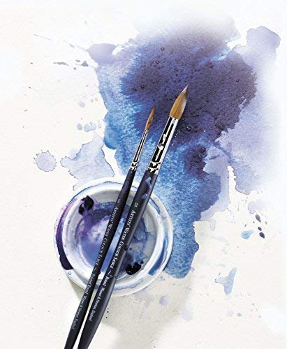 Winsor & Newton Professional Watercolour Sable Brush, Round #10