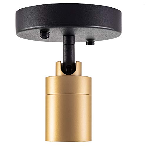 VidaLite LED Monopoint Sconce Adjustable Flush Mount Spot Light