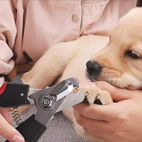 Small dog Nail Clippers Trimmer Set - Safety Guard To Avoid Over-Cutting Nails Professional Round Tip Dog and Cat Grooming Scissors