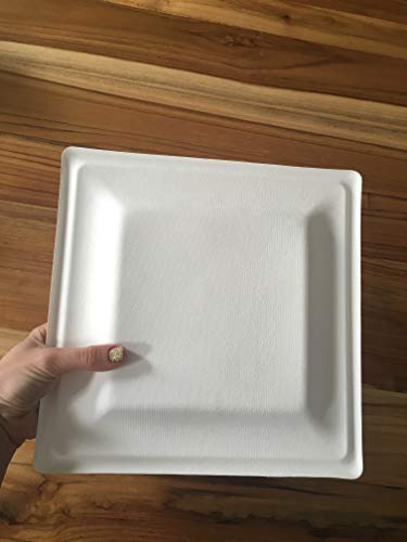 Susty Party 10-Inch Compostable Square Plates (50-Count), Sugarcane Heavy Duty Disposable Biodegradable Plate for Dinner, White