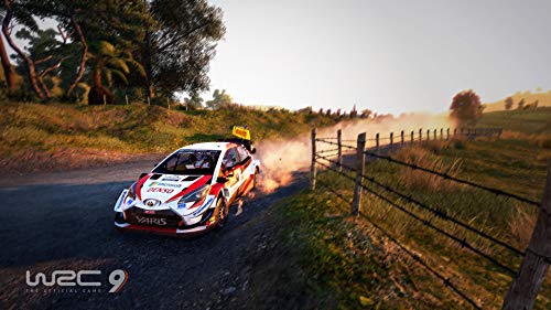 WRC 9 Nintendo Switch