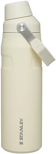 Stanley IceFlow Fast Flow Water Bottle 24 OZ | Angled Spout Lid | Lightweight & Leakproof for Travel & Gym | Insulated Stainless Steel | BPA-Free | Cream Glimmer
