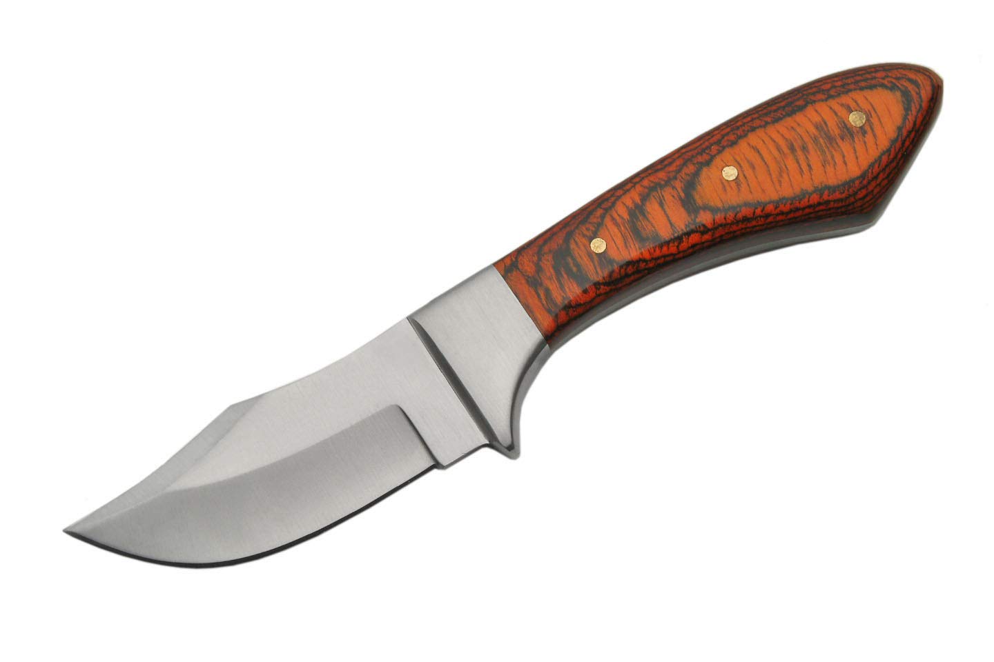 Szco Supplies 7.25” Small Upsweep Drop-Point Outback Pakkawood Handle Skinning Knife with Sheath,Brown