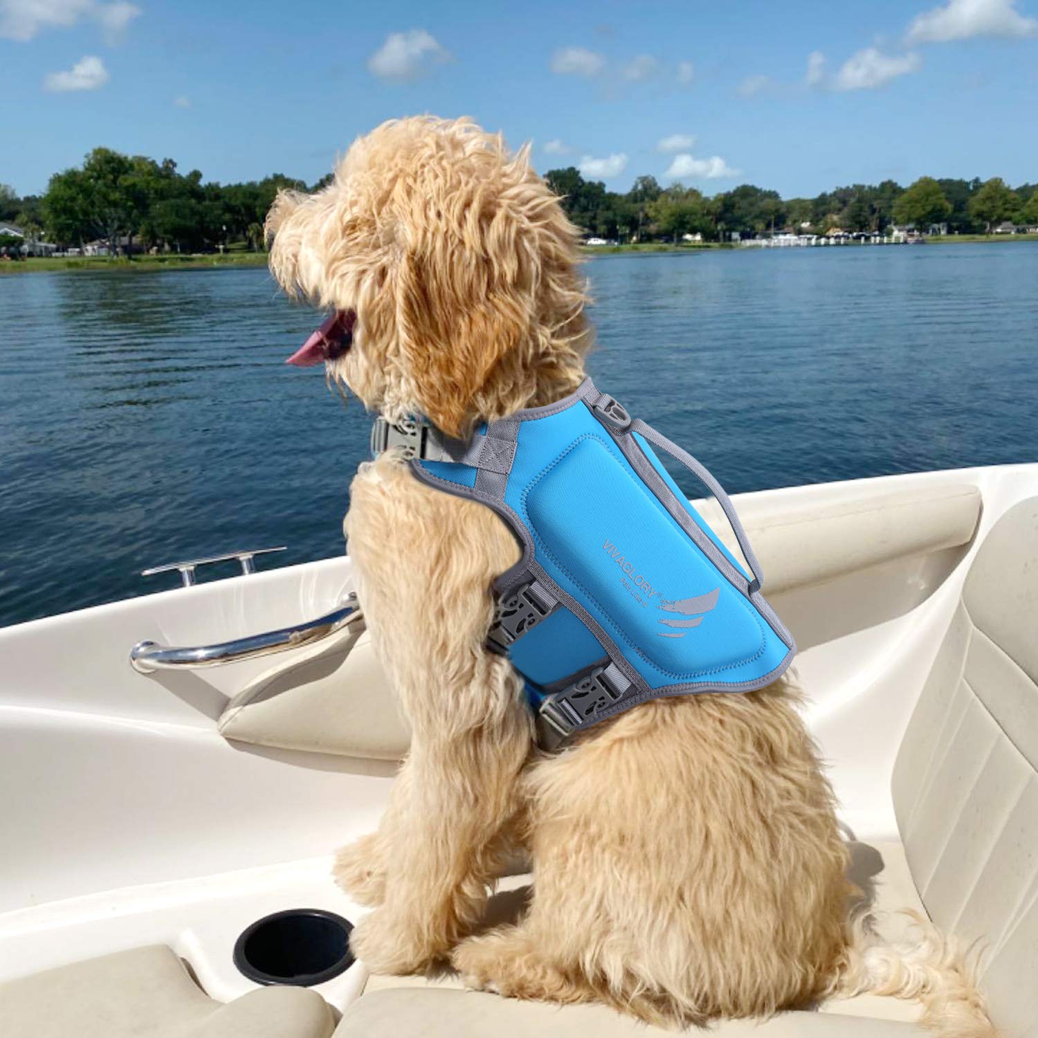 VIVAGLORY Lightweight Dog Life Jacket, Pet Life Preserver Life Vest Skin-Friendly Neoprene for Puppy Small Dogs with D-ring and Quick Release Buckle, Blue
