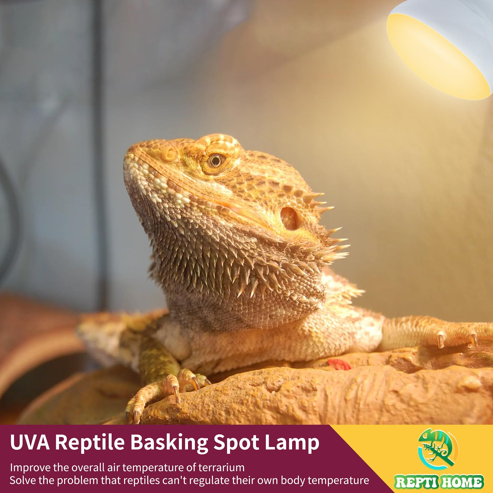 REPTI HOME Reptile Heat Lamp-150W Heat Lamp Bulbs for Reptiles, UVA Daily Heat Lamp, Reptile Basking Bulb for Bearded Dragon, Lizard, Turtle, Snake, Gecko (1Pack)