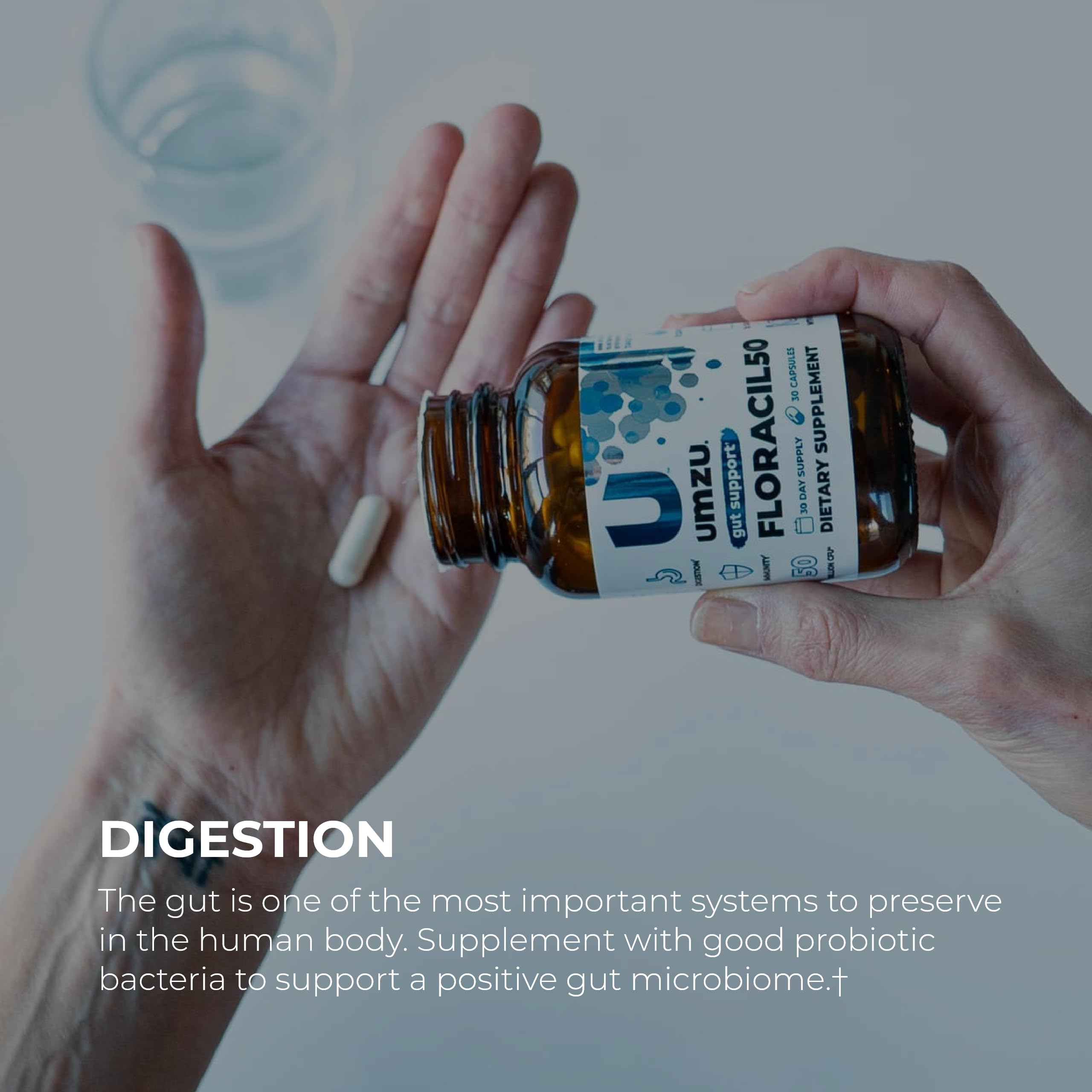 UMZU Floracil50 - 50 Billion CFU - Support Gut Health, Immune System & Digestion - With Lactobacillus reuteri, Lactobacillus rhamnosus & Bifidobacterium - 30 Day Supply - 30 Capsules