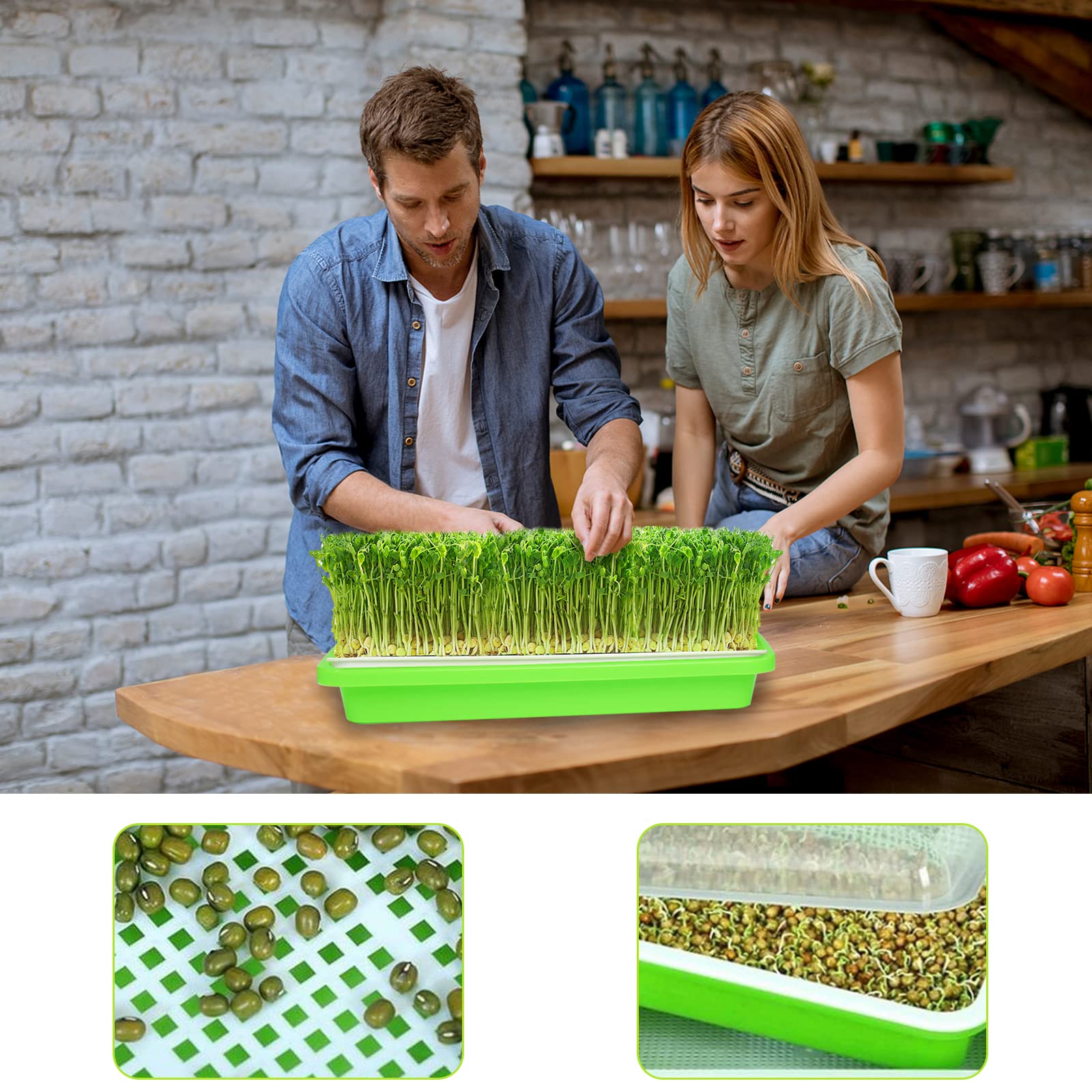 Senwow Seed Sprouter Tray with Lid 6 Pack, BPA Free Nursery Tray Seed Germination Tray Healthy Wheatgrass Seeds Grower & Storage Trays for Garden Home Office