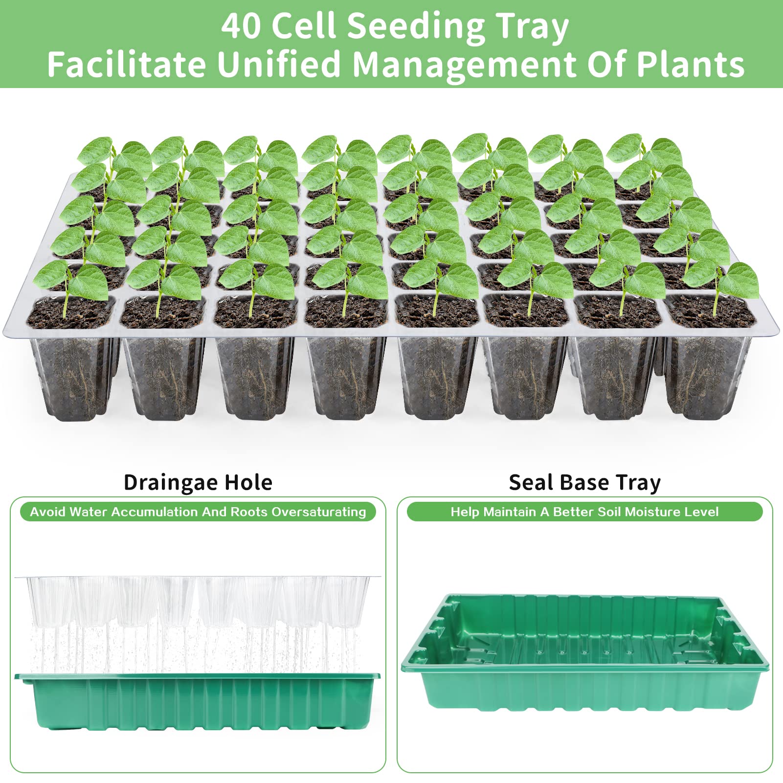 TIEBOLA Seed Starter Kit with Grow Light - Durable Seed Tray, 80-Cell Germination Trays with Drain Hole, with Humidity Dome, and Thermometer Hygrometer, Humidity Dome for Seed Growing Germinating.