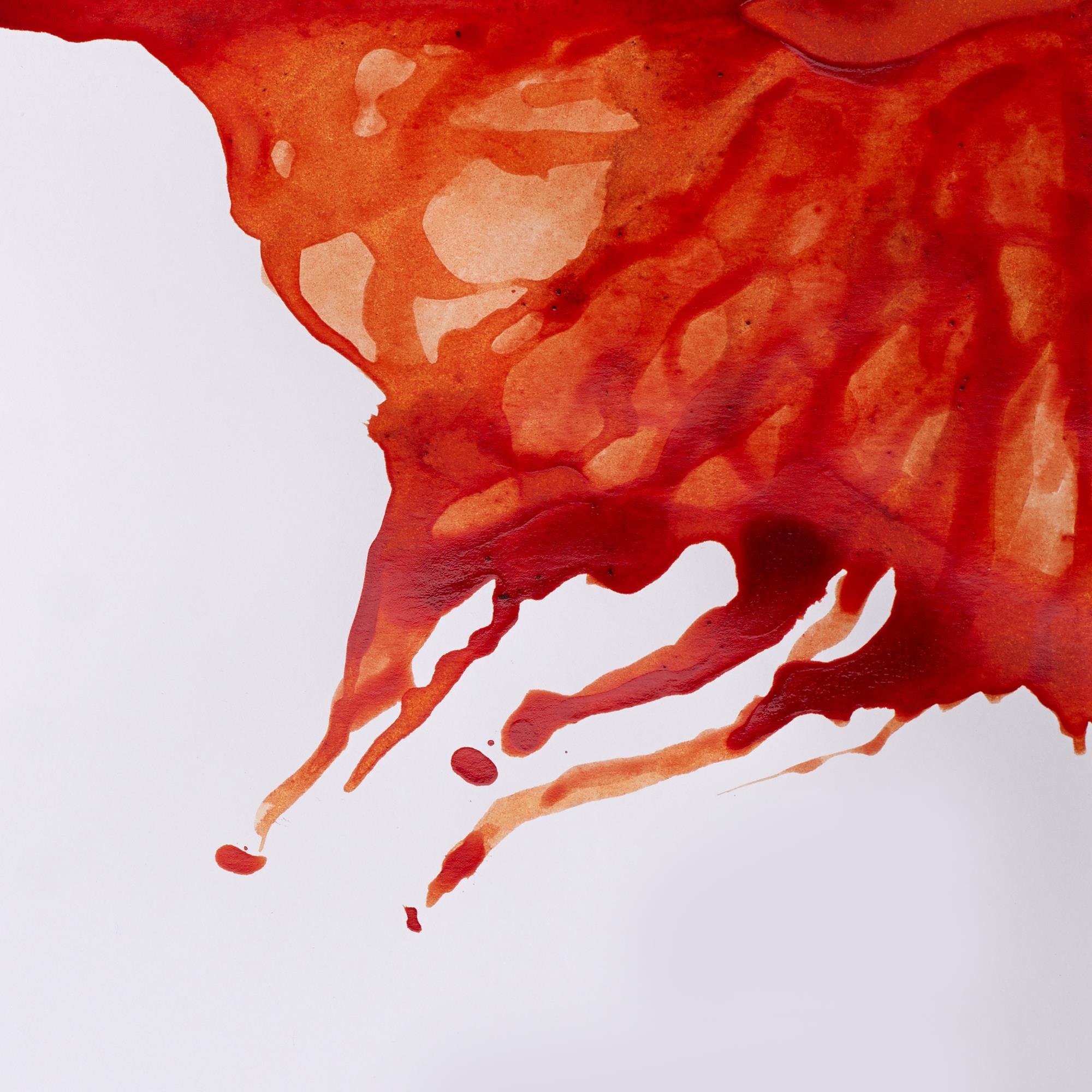 Winsor & Newton Drawing Ink, 14ml Bottle, Burnt Sienna