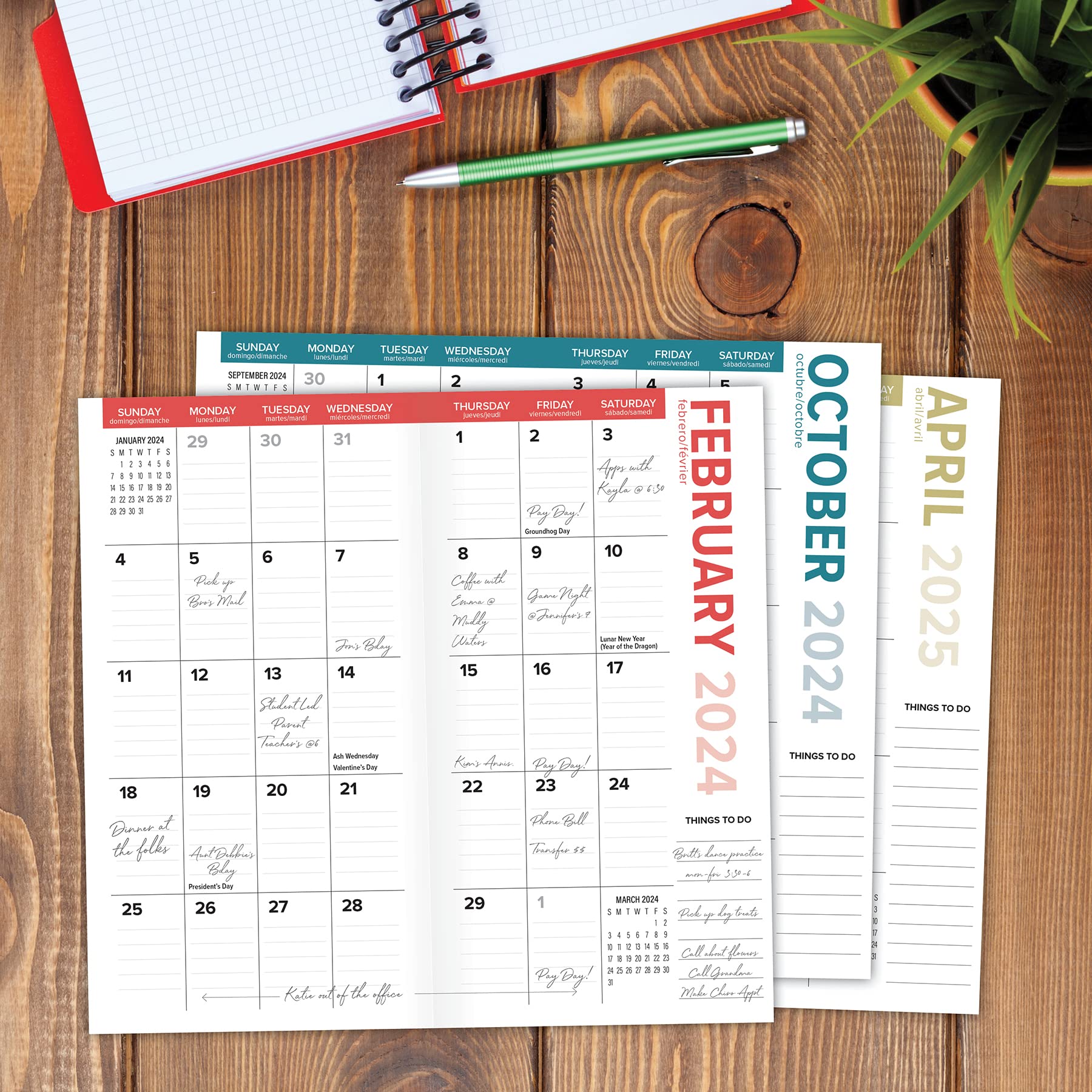 Willow Creek Press Italy 2-Year January 2024 - December 2025 Monthly Pocket Planner (3.5" x 6.5")