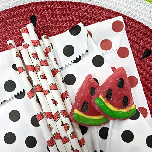 Watermelon Themed Paper Straws - Red Green White - 50 Pack